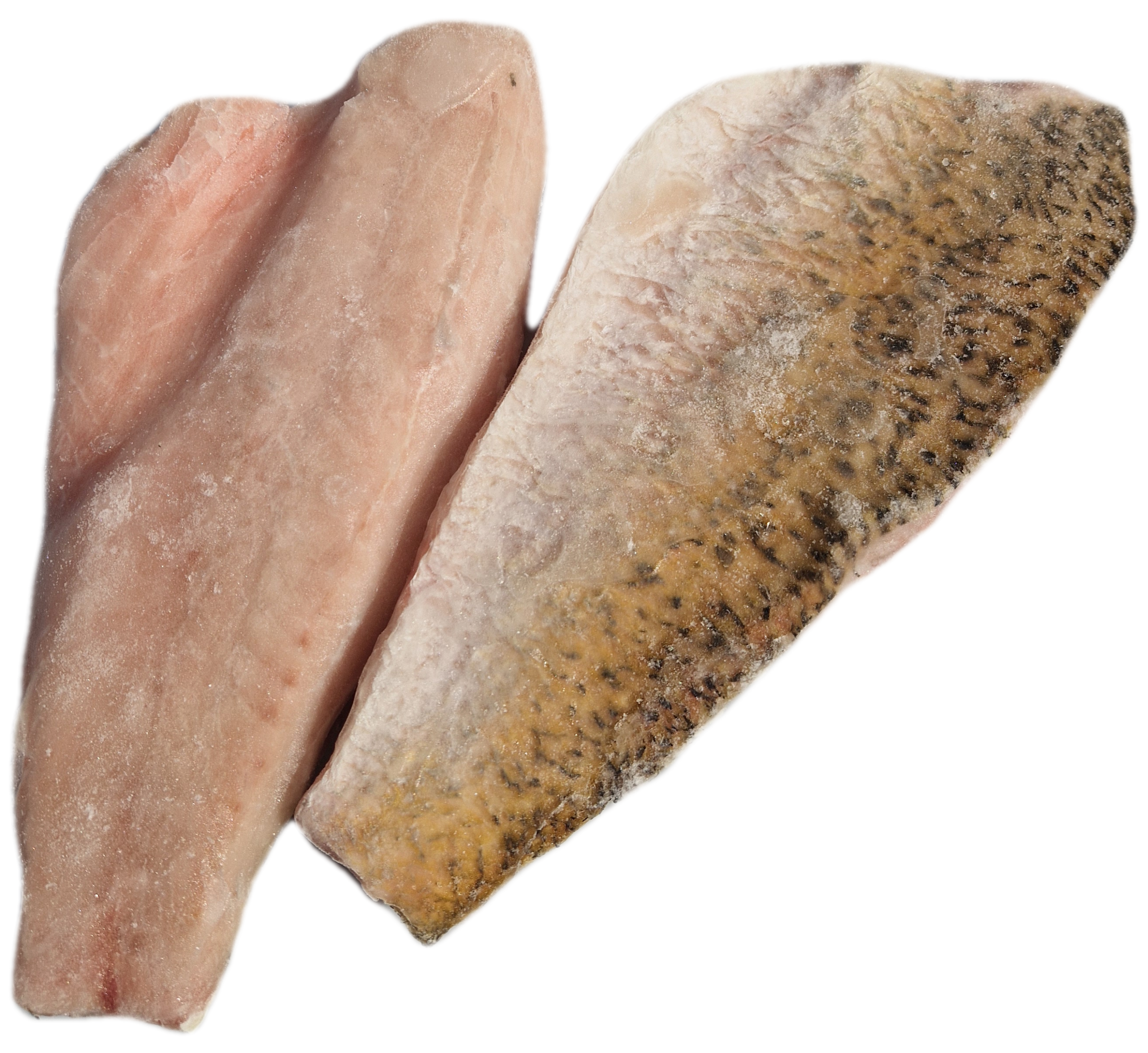 HAVABBOR FILET - Sjømatgrossisten AS